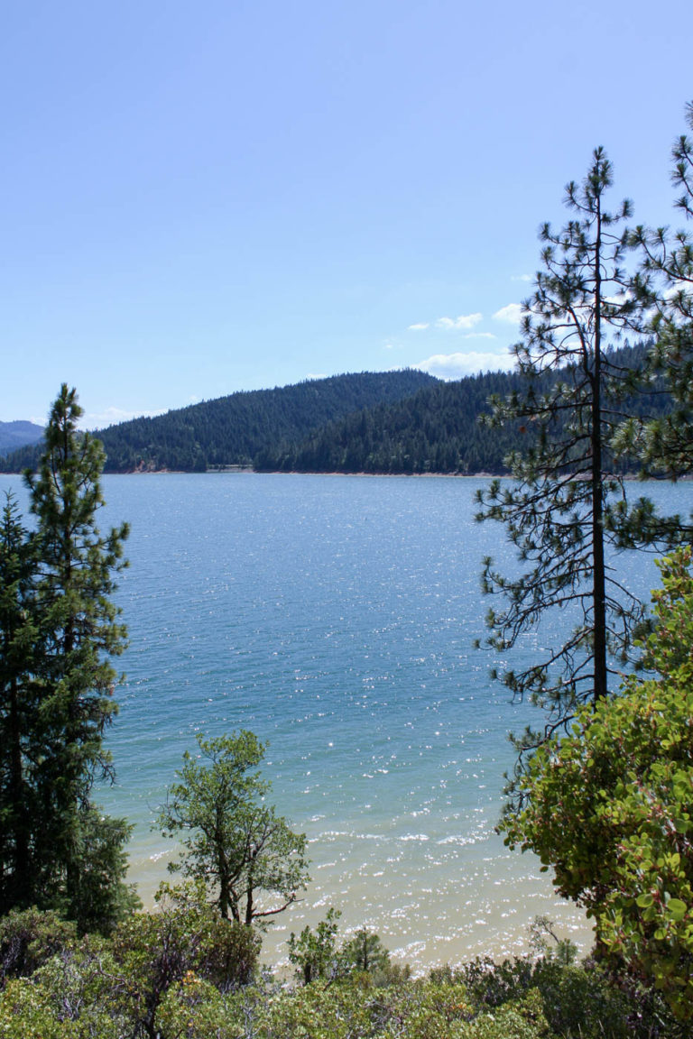 Photos - Bonanza King Resort